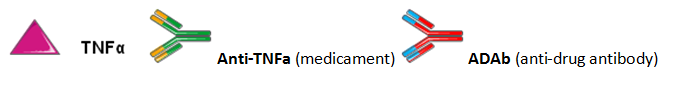 How to monitor anti-TNF-alpha therapy (infliximab and adalimumab ...