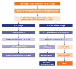 CAT devant un TCA allongé | Eurofins Biomnis