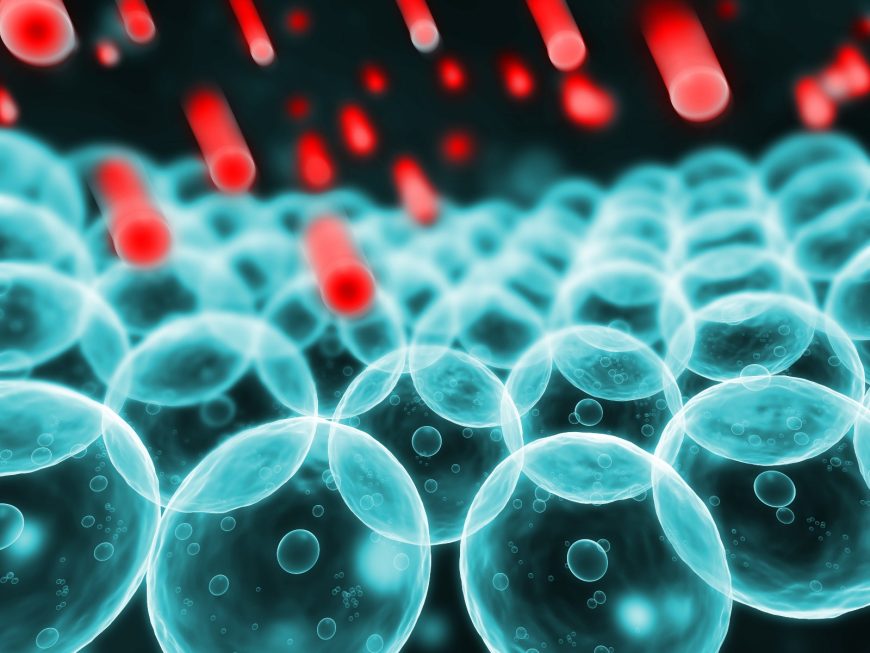 Eurofins Biomnis – Biologie Médicale Spécialisée